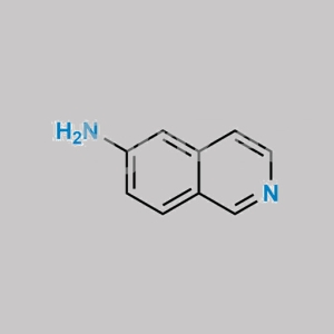 6-Aminoisoquinoline CAS号 23687-26-5 – Watson(沃森)