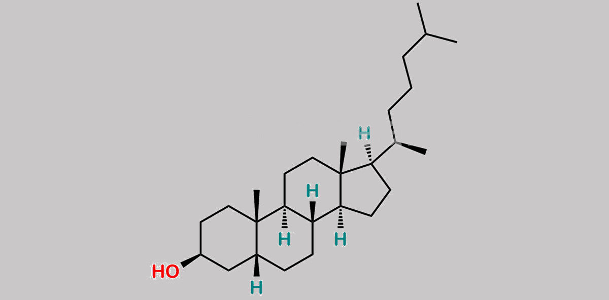 Coprostanol CAS号 360-68-9 - Watson(沃森)
