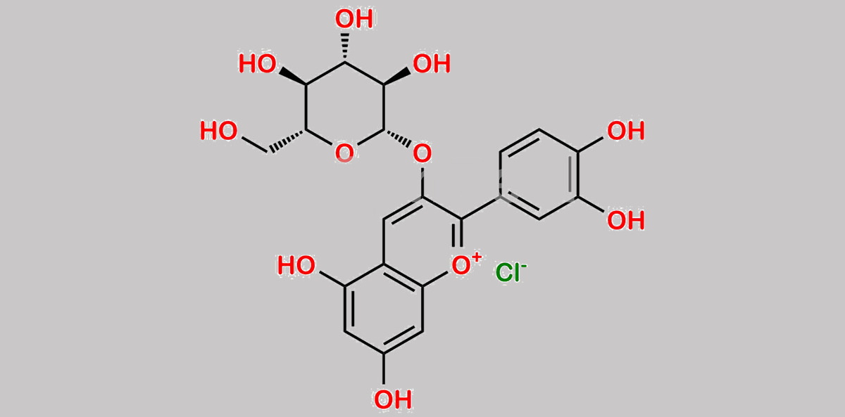 Cyanidin 3-O-glucoside Chloride CAS号 7084-24-4 - Watson(沃森)