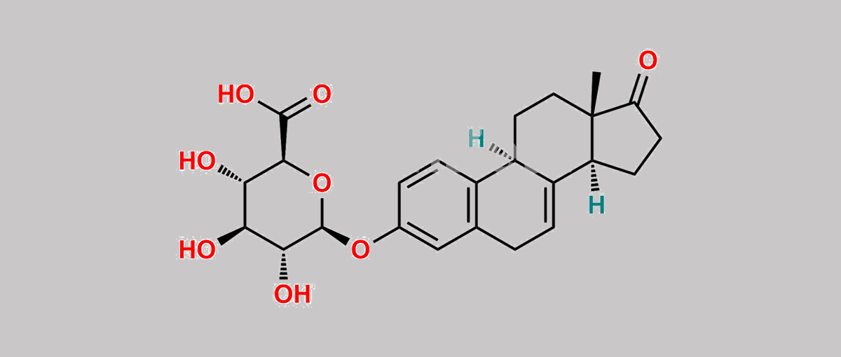 Equilin glucuronide CAS号 76663-60-0 - Watson(沃森)