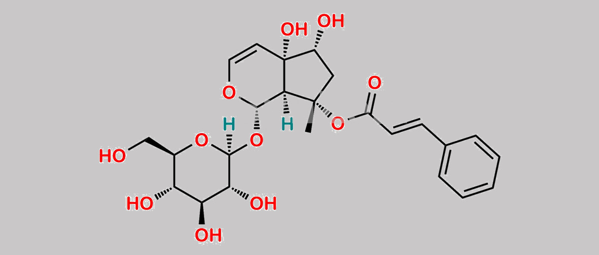 Harpagoside CAS号 19210-12-9 - Watson(沃森)
