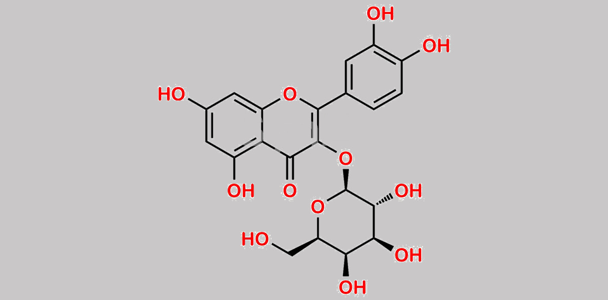 Hyperoside CAS号 482-36-0 - Watson(沃森)