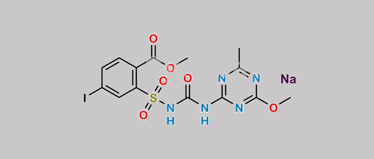 Iodosulfuron Methyl Ester Sodium CAS号 144550-36-7 - Watson(沃森)