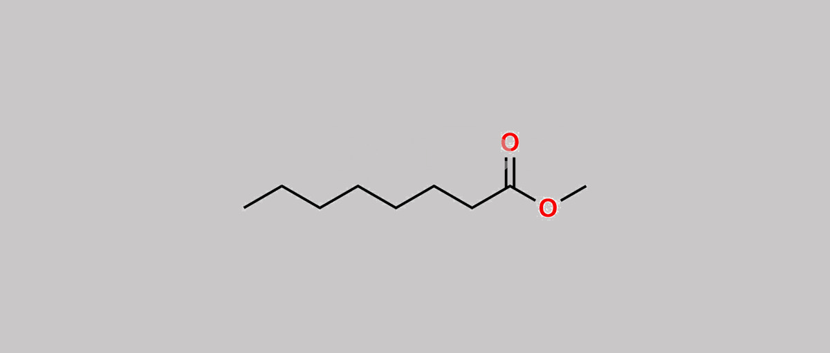Methyl Caprylate CAS号 111-11-5 - Watson(沃森)