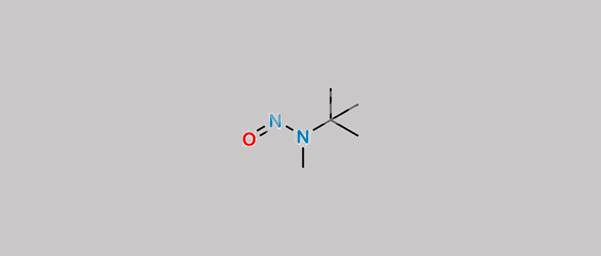 N-Nitroso tertiary Butyl Methyl Amine CAS号 2504-18-9 - Watson(沃森)
