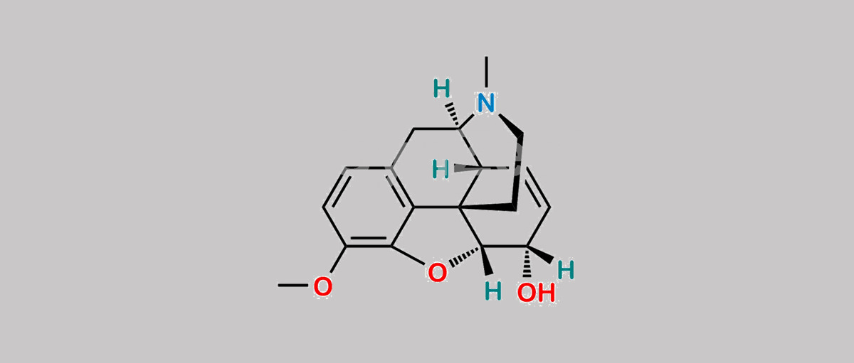 Pholcodine EP 杂质 B CAS号 76-57-3 - Watson(沃森)
