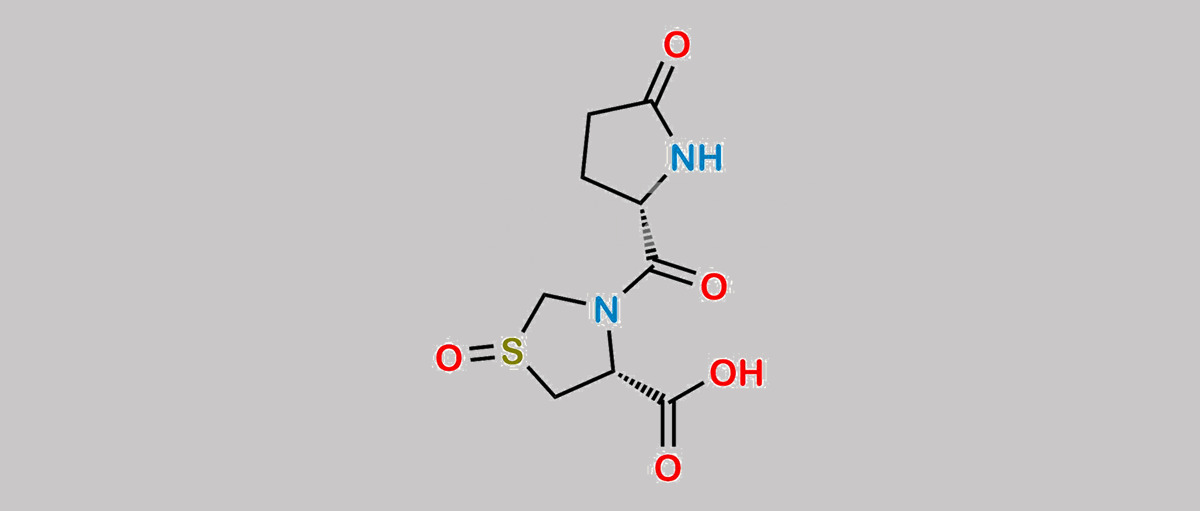Pidotimod Sulfoxide (Mixture of Diastereomers) CAS号 N/A - Watson(沃森)