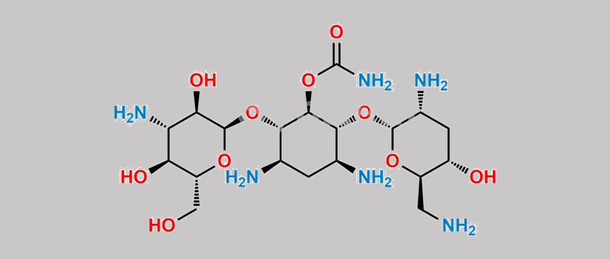 Tobramycin 杂质 5 CAS号 N/A - Watson(沃森)